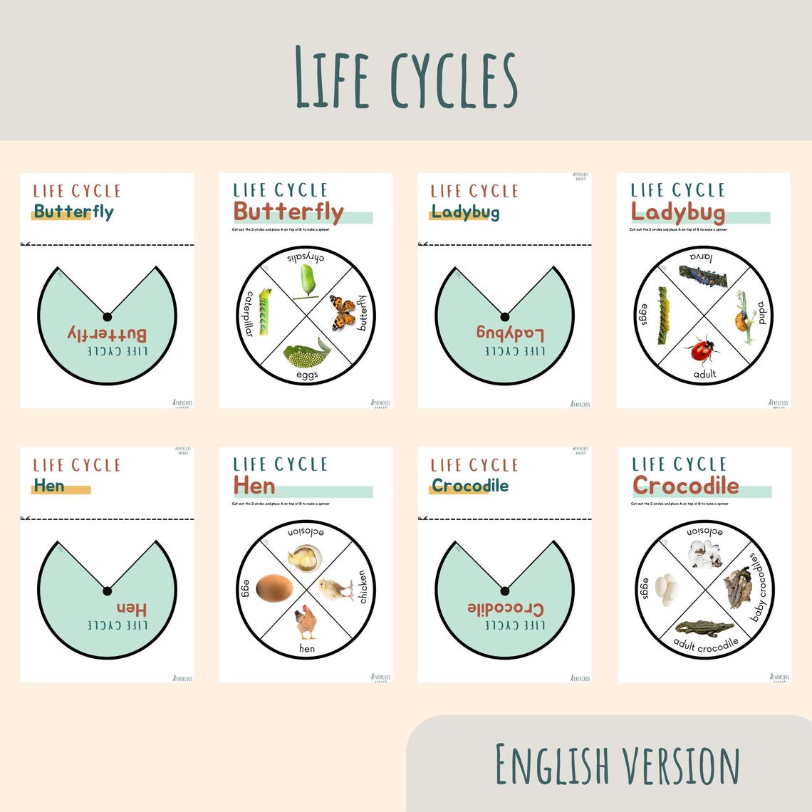 Animal Life Cycles Spinner English Version Montessori - Etsy