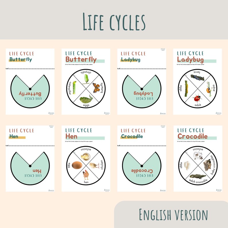Animal Life Cycles Spinner English Version Montessori - Etsy
