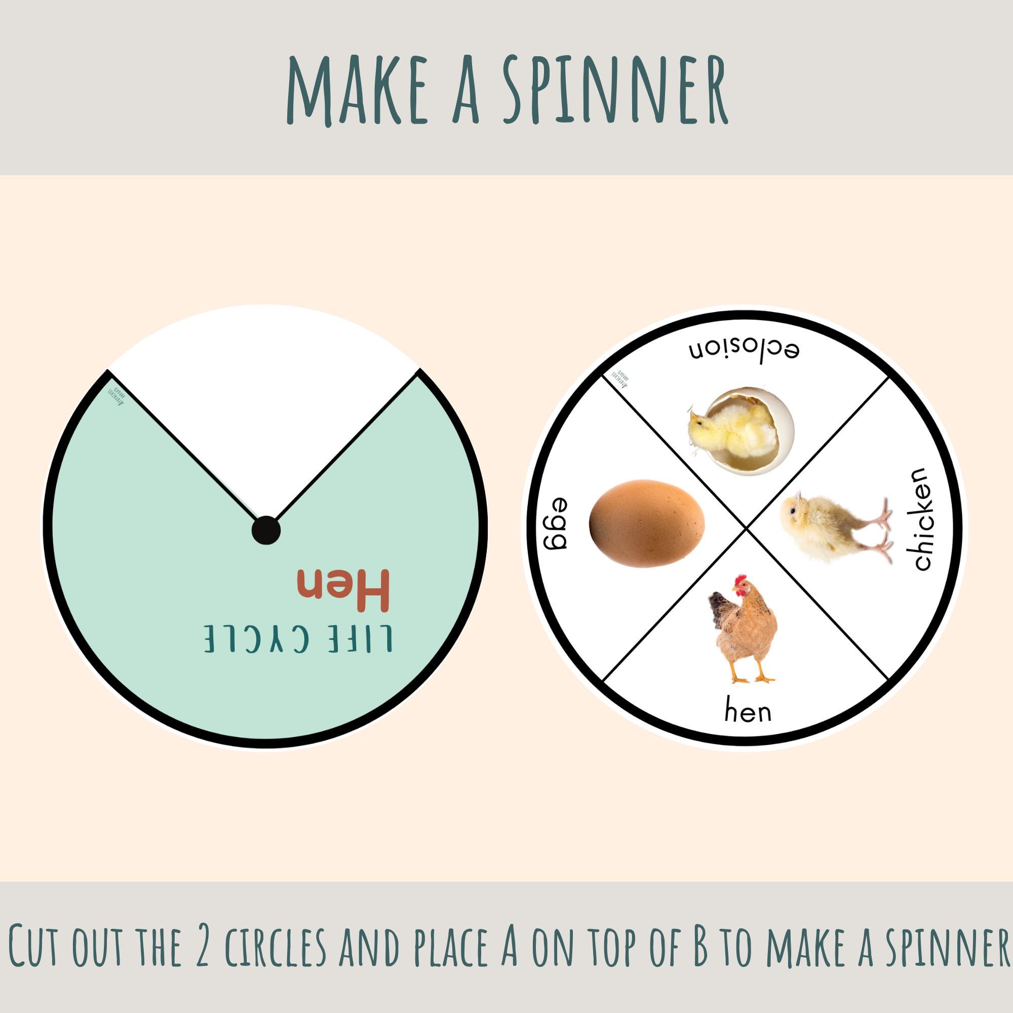 Animal Life Cycles Spinner English Version Montessori - Etsy