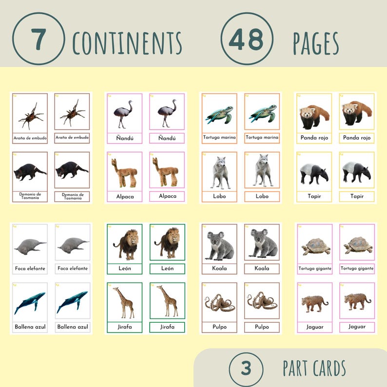 Animals of the World Spanish Version Continent Cards Montessori - Etsy