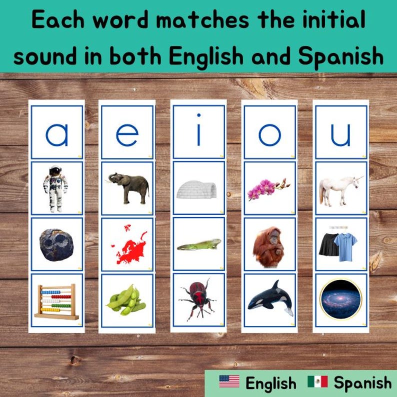 Bilingual Montessori Phonics Initial Sound English Spanish - Etsy