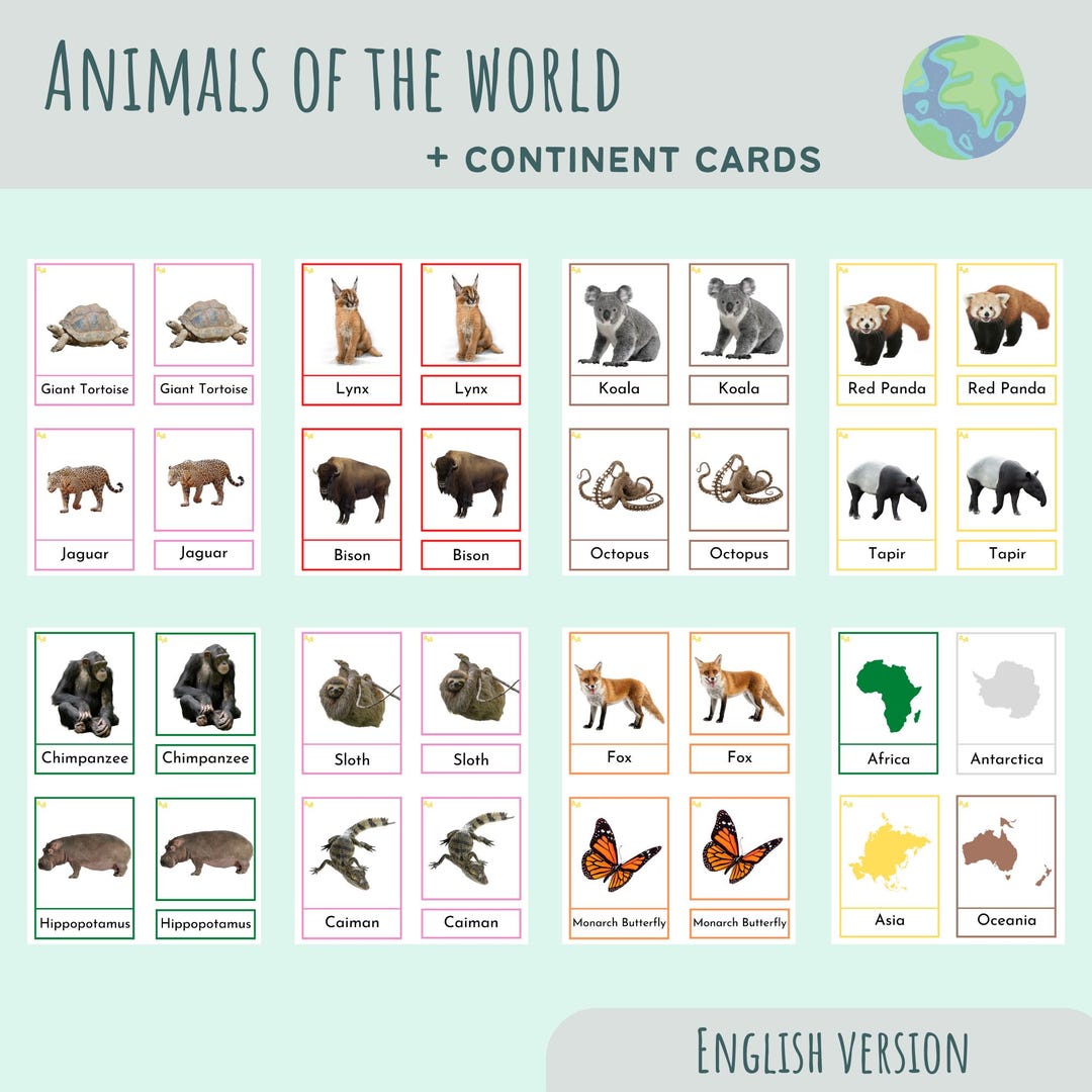 Animals of the World Continent Cards English Version - Etsy