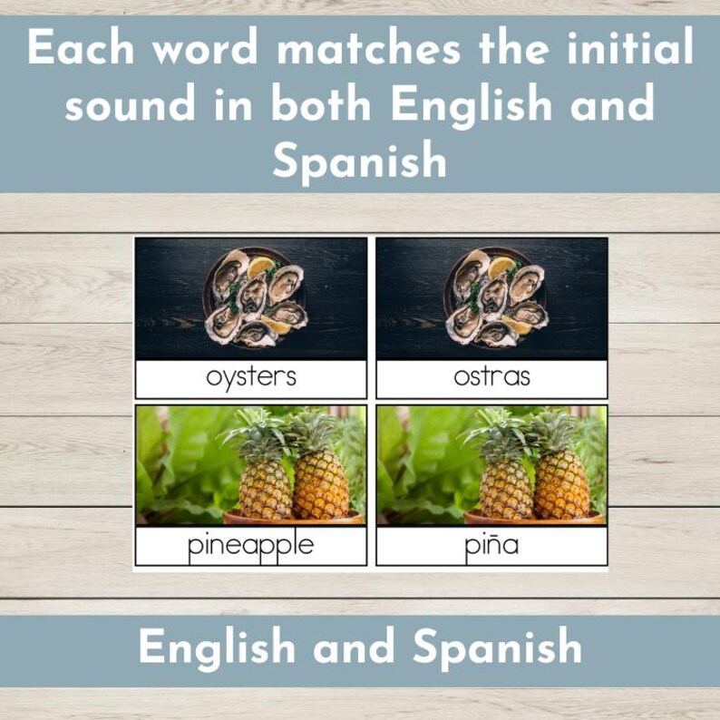 Phonetic Food Alphabet Cards Pre-reading Bilingual English and Spanish ...