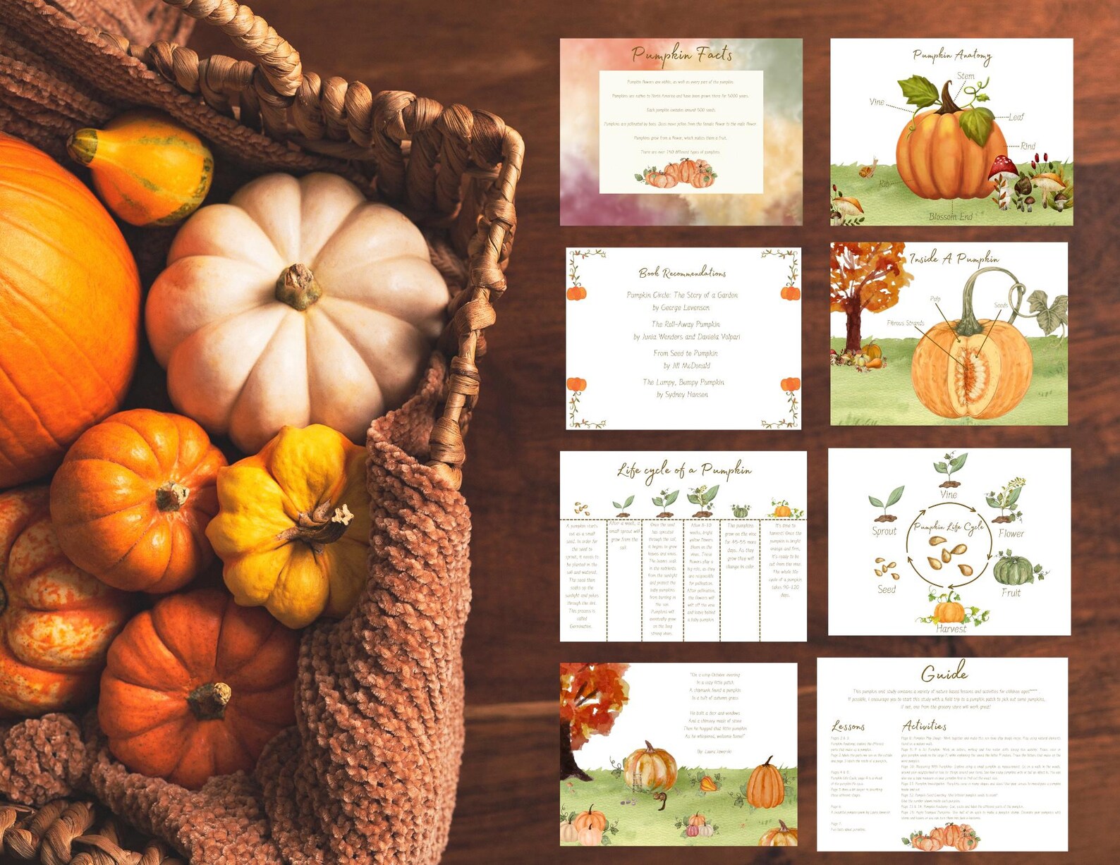 Pumpkin Unit Study Printable/ Nature-based Preschool Lesson/ Fall ...