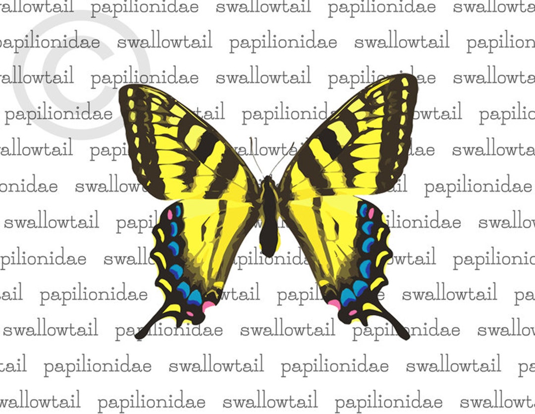Printable Swallowtail Butterfly Art Image PDF Download - Etsy