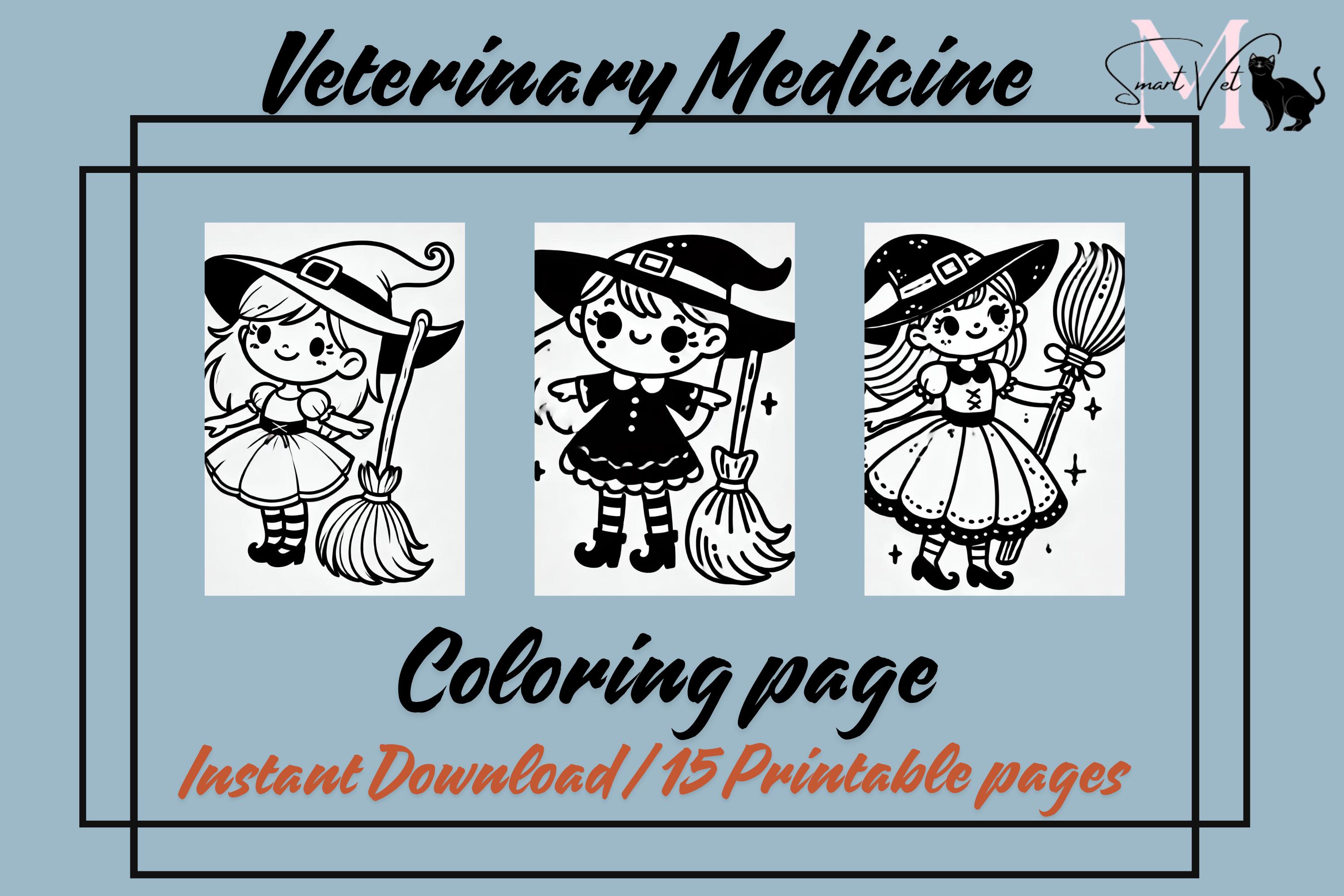 Halloween Bold and Easy Coloring Pages for Adults/ 15 Pages/ Cozy and ...