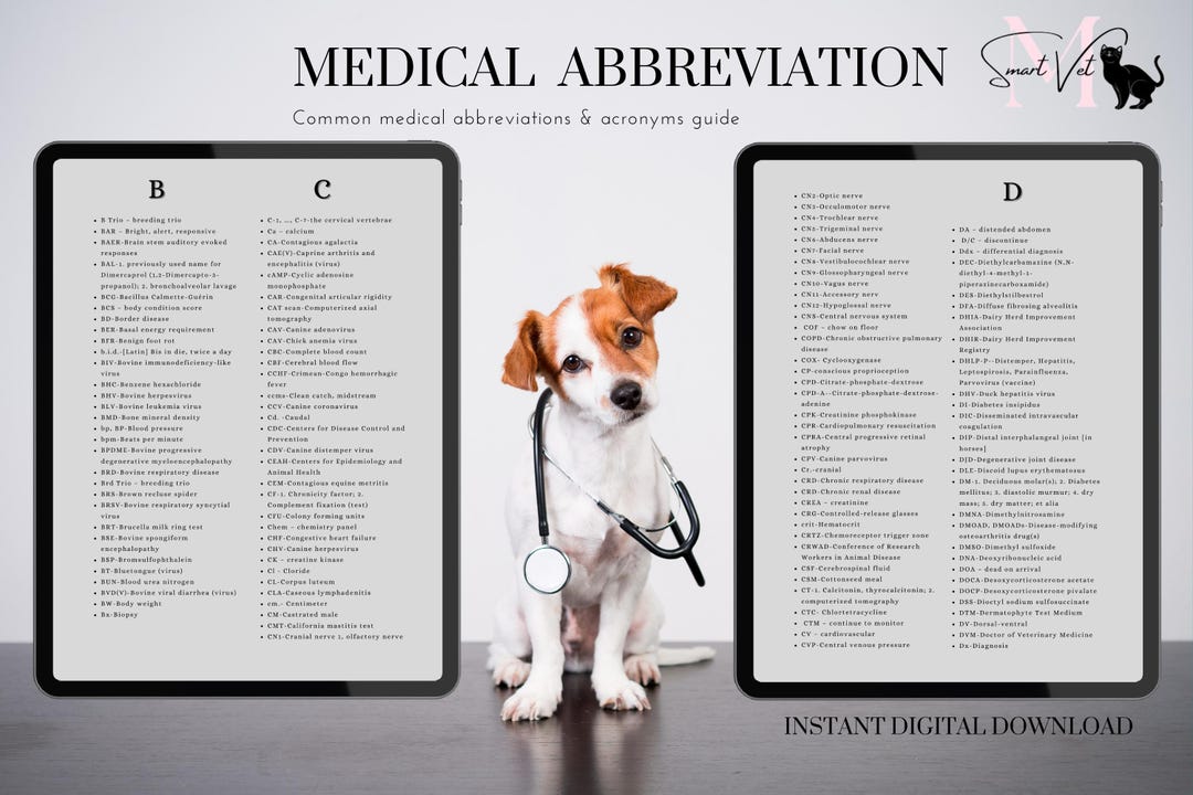 Veterinary Reference Pages, Printable Sheets for Clinic: Abbreviations ...