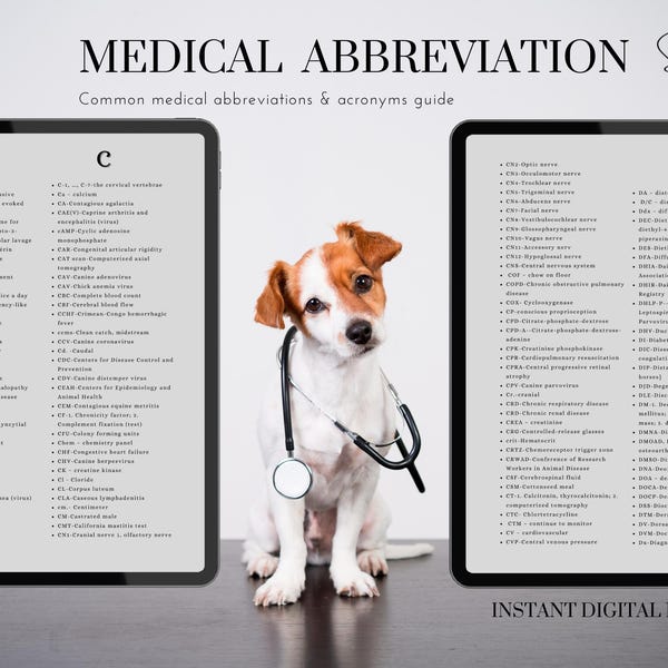 Windows PC Computer Keyboard & Special Character Reference Chart Poster ...