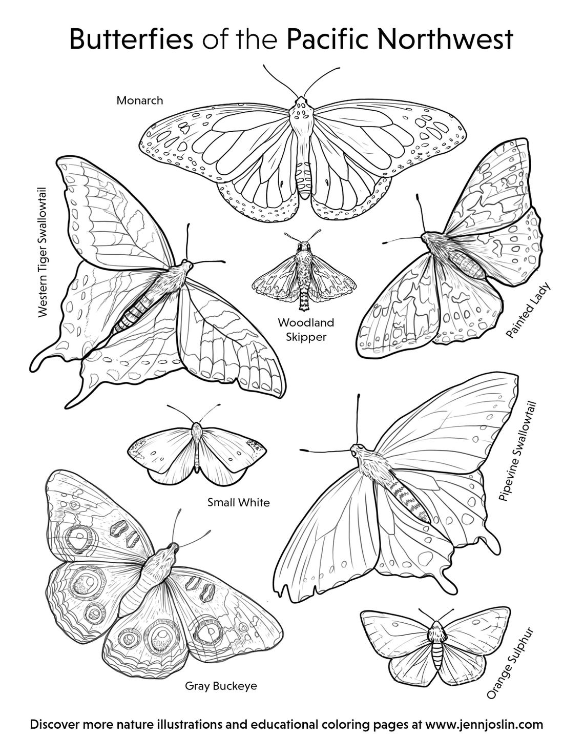 Butterflies Coloring Page - Nature Activity Page - Etsy