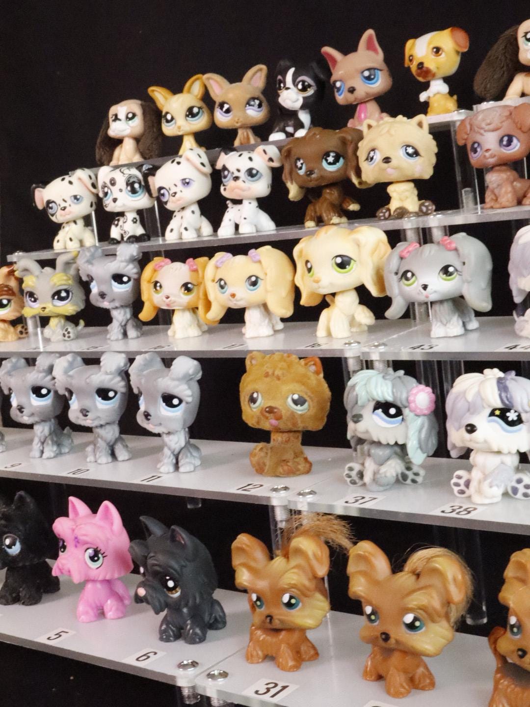 LPS Dogs, Puppies, Littlest Pet Shop Animals, Original! Hasbro, Price ...