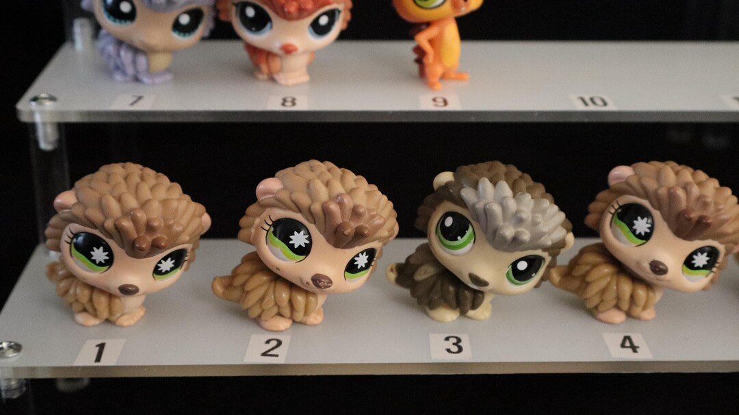 Lps Porcupine, Littlest Pet Shop Original Authentic Hasbro, Hedgehog in ...