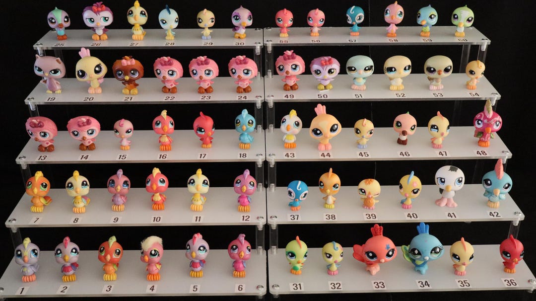 Lps Birds, Littlest Pet Shop Original Authentic Hasbro, Poultry in Many ...