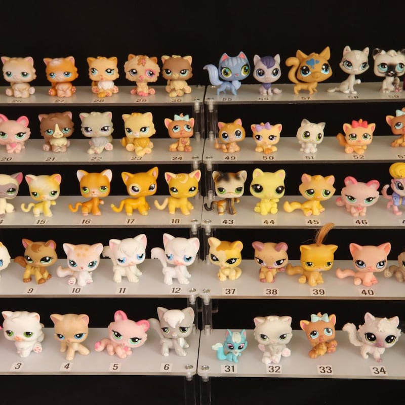Lps Cat Rare - Etsy