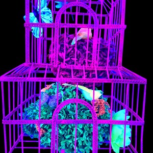 Neon 3D Pop Art Pink Glow in the Dark Palatial Vintage Birdcage With ...