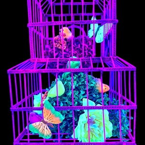 Neon 3D Pop Art Pink Glow in the Dark Palatial Vintage Birdcage With ...