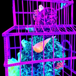 Neon 3D Pop Art Pink Glow in the Dark Palatial Vintage Birdcage With ...