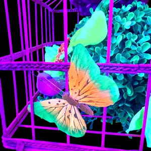 Neon 3D Pop Art Pink Glow in the Dark Palatial Vintage Birdcage With ...