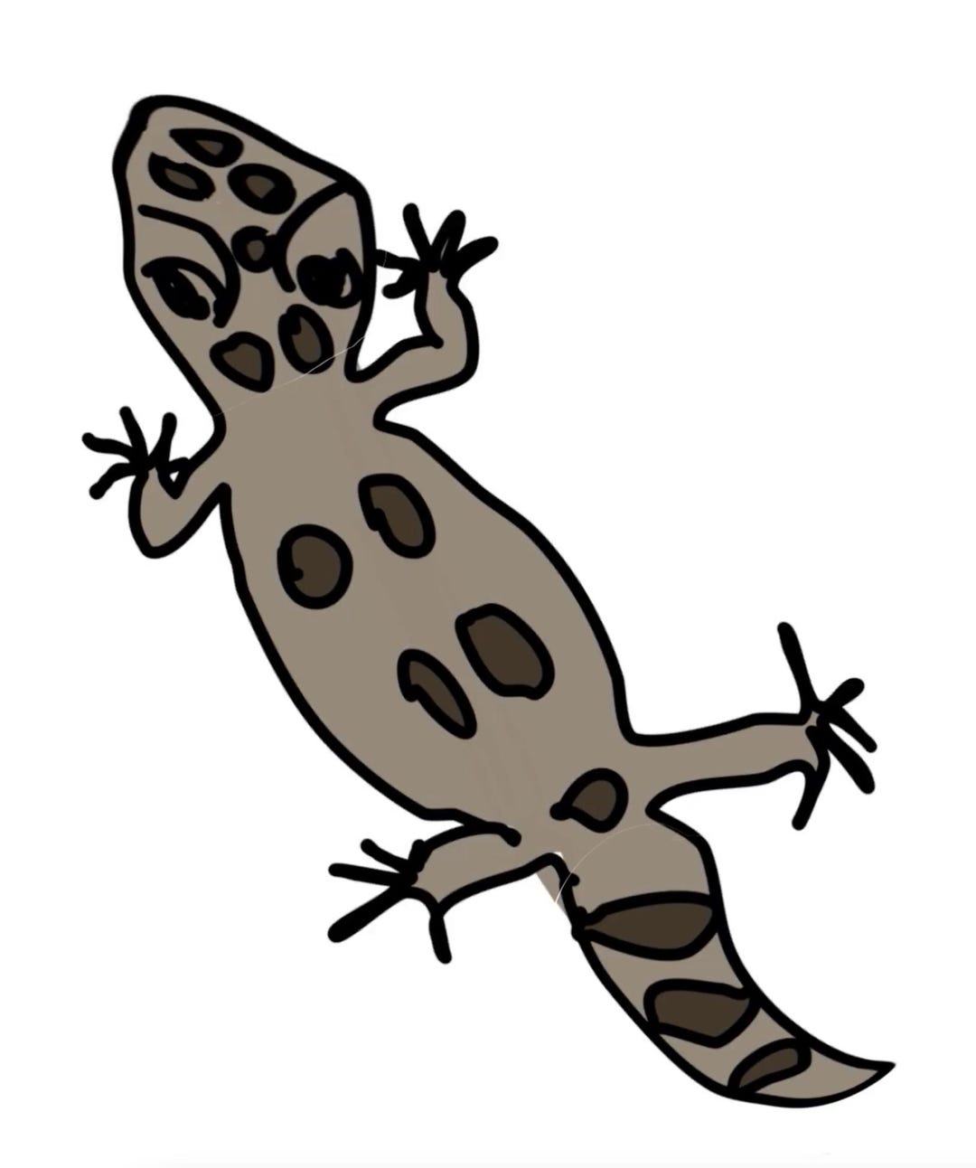 Animated Fat-tailed Gecko Illustration - Etsy