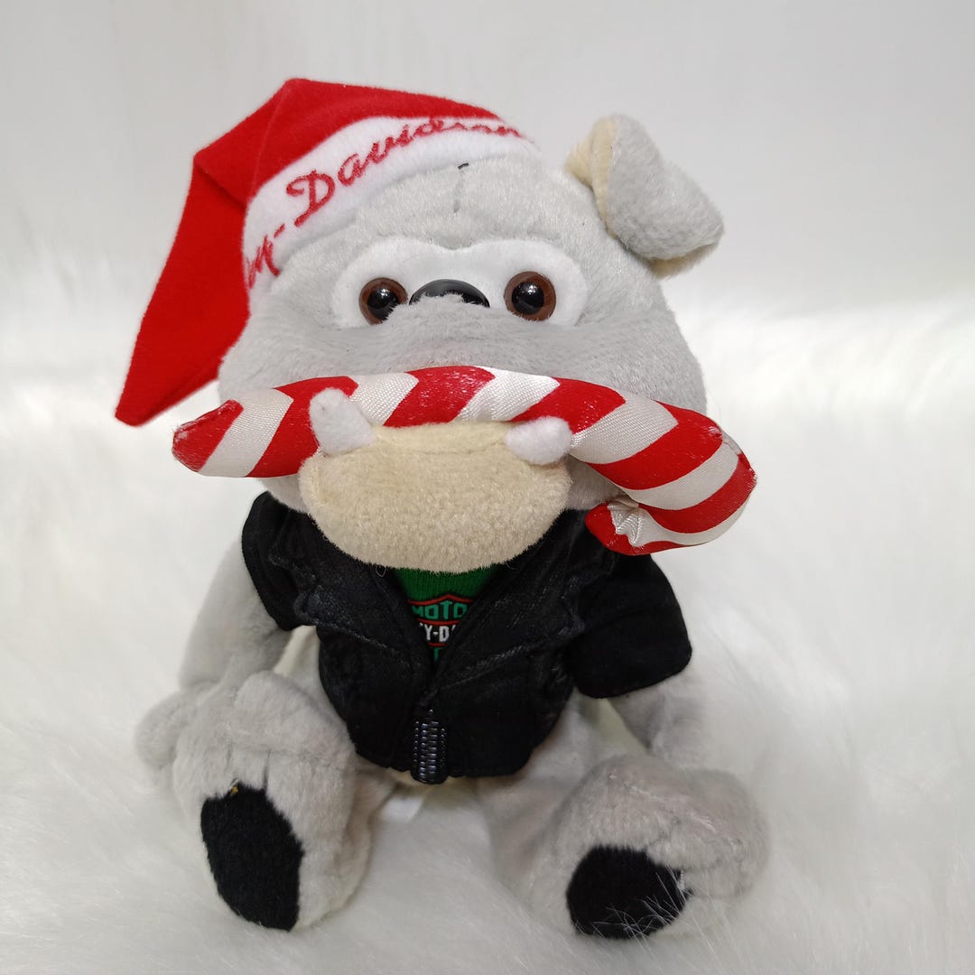Harley-davidson Dog 2000 Wearing a Christmas Hat, Holding a Red and ...