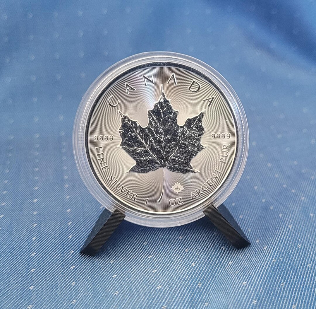 1 Dozen (12) Coin Display Stands - Etsy