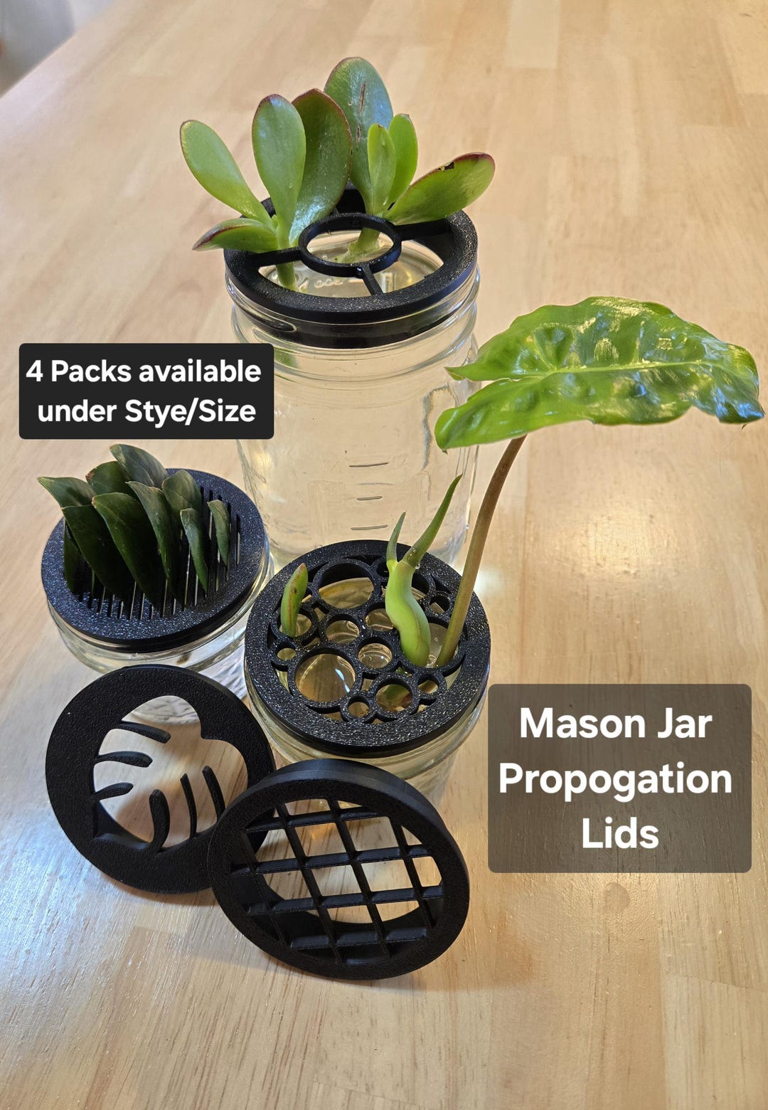 Mason Jar Propagation Lids - Standard or Wide - Propagate Plants ...