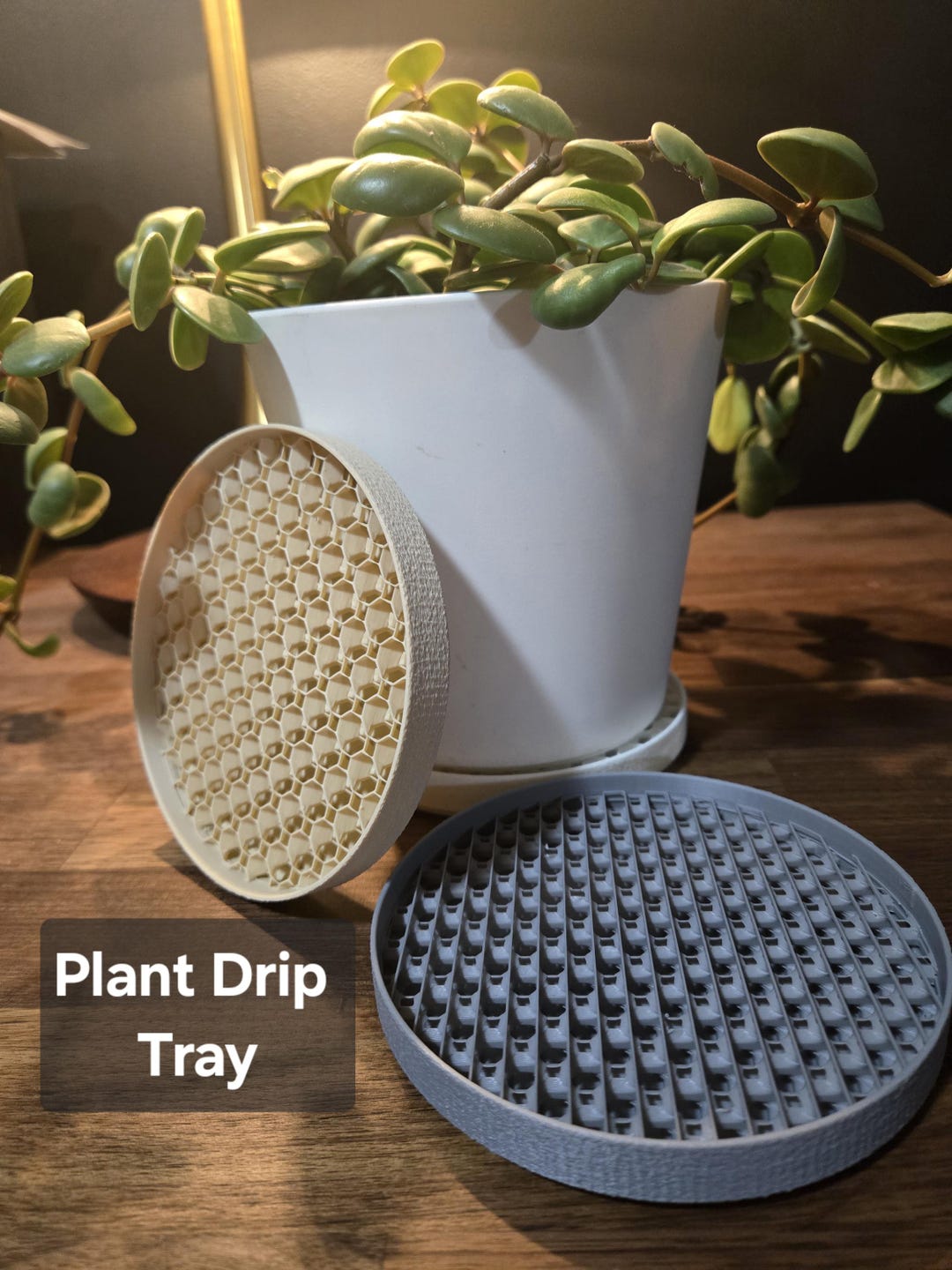 Plant Drip Tray | Humidifier Tray | Water Catcher for Houseplants - Etsy