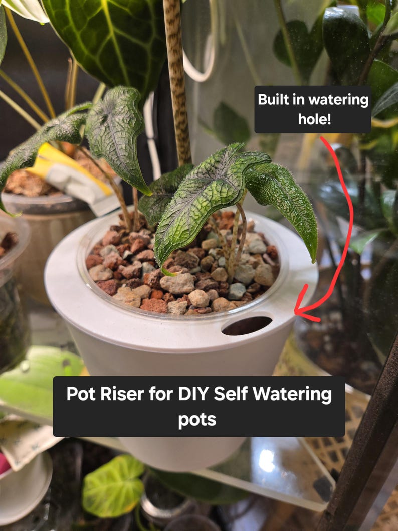 Pot Riser for DIY Self Watering Pot Setup - Etsy