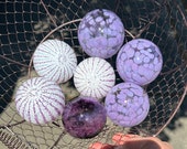 Glass Floats - Seattle Art Glass Gallery & Glass Blowing Studio ...