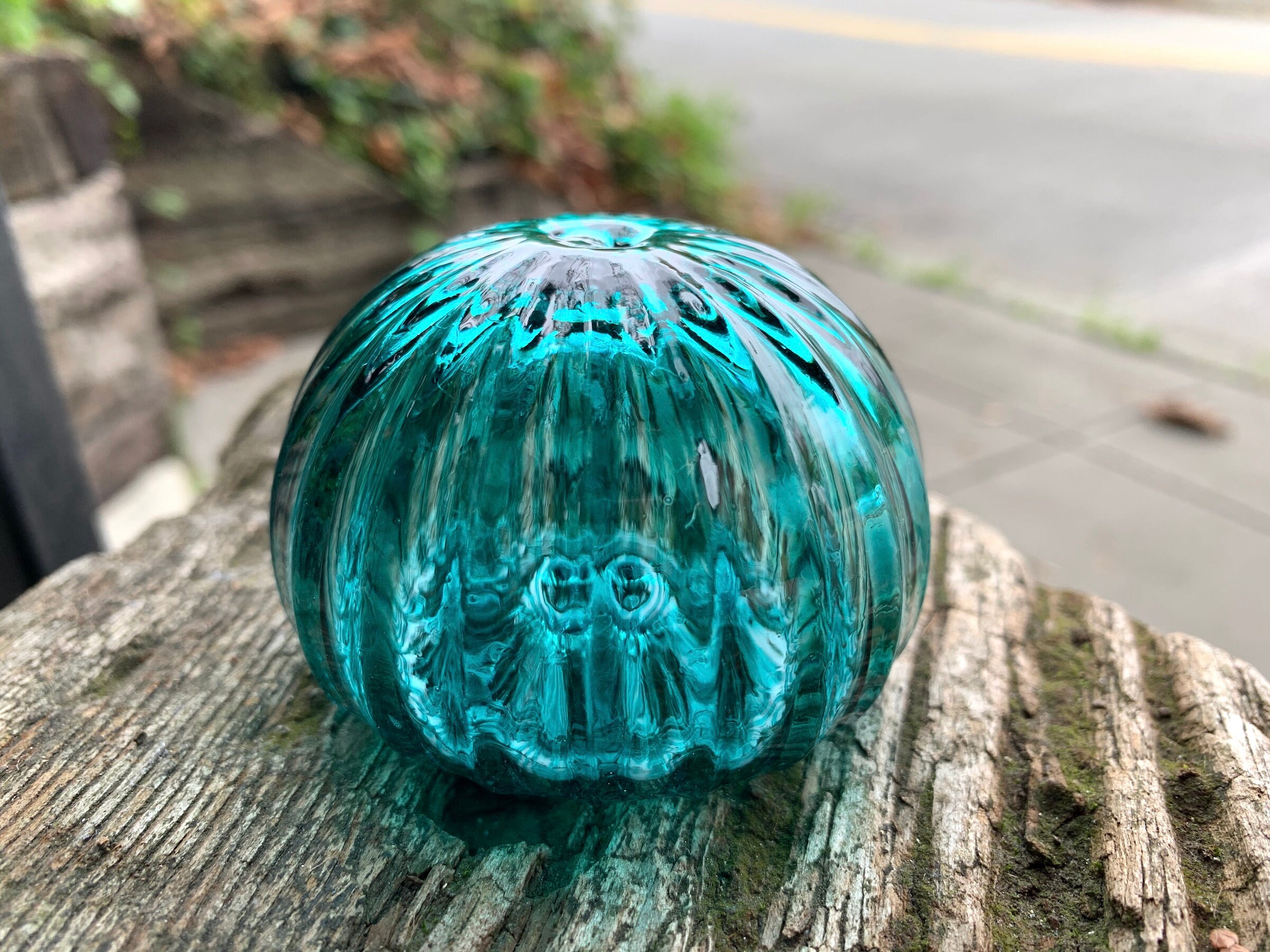 Aqua Glass Sea Urchin Shell Teal Green Blown Glass Sea Life Etsy