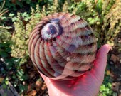 Shop Online - Seattle Art Glass Gallery & Glass Blowing Studio - Avalon ...