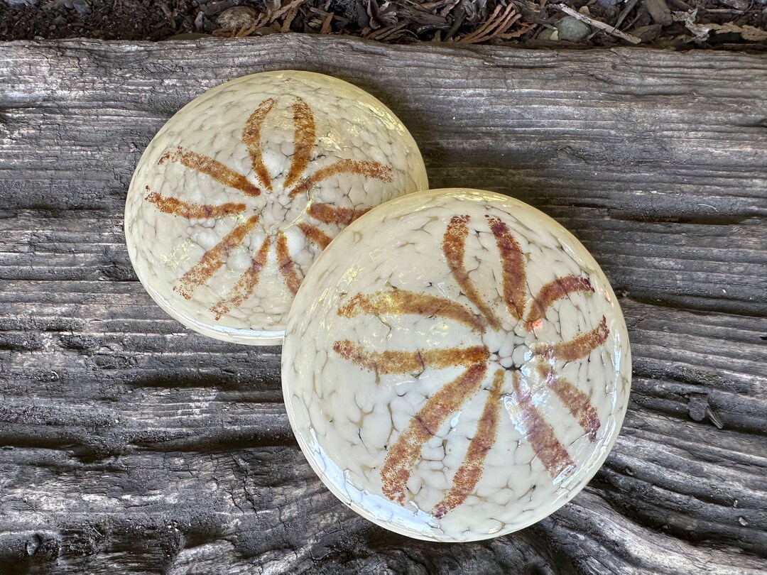 Glass Sand Dollars, Set of 2 Beach Paperweights, Beige Brown Solid 3.5 ...