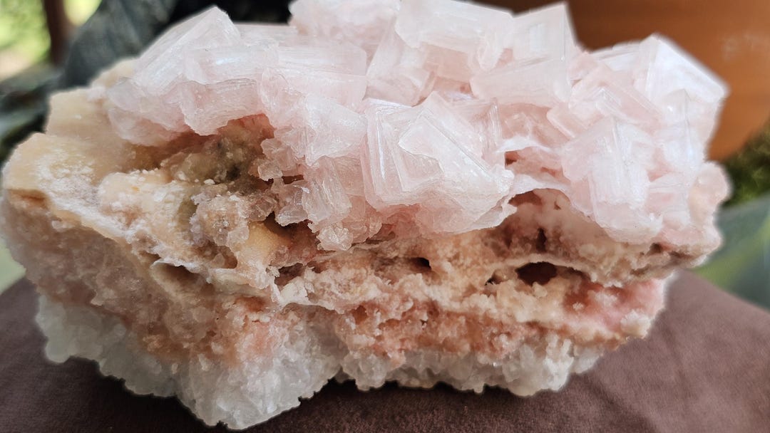 Pink Halite on Trona Specimen - Etsy