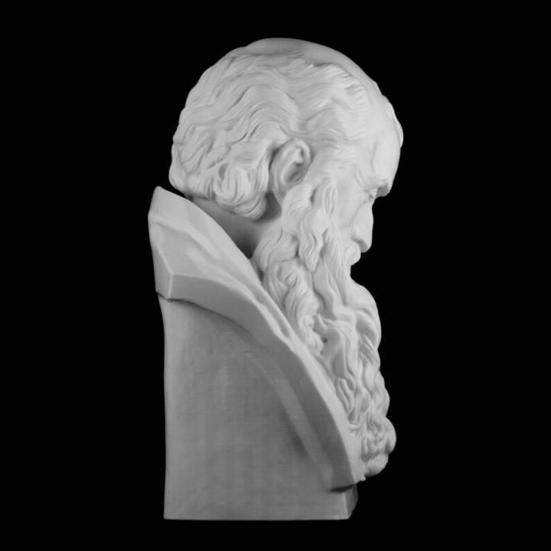 Statue Head Bust Man With Beard Philosopher Classical Art Decor - Etsy