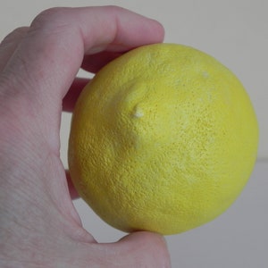 Large Porcelain Lemon Sculpture Faux Fruit Photo Stylist - Etsy