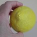 Large Porcelain Lemon Sculpture Faux Fruit Photo Stylist - Etsy