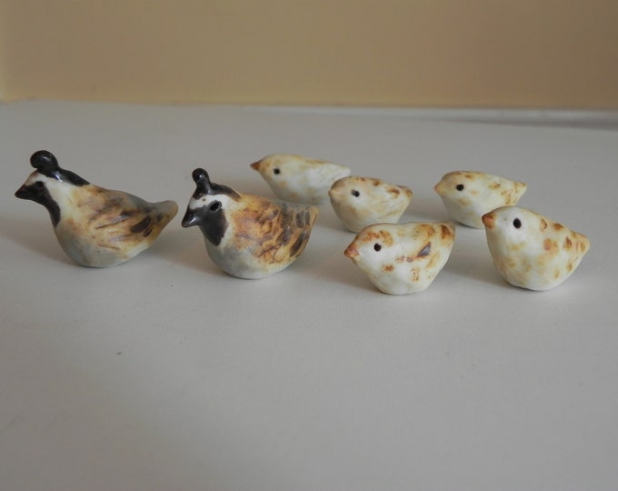Tiny Ceramic Quail Family Miniature Birds - Etsy