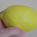 Large Porcelain Lemon Sculpture Faux Fruit Photo Stylist - Etsy