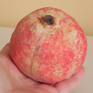 SALE 2 Whole Porcelain Guavas, Faux Fruit, Fake Food, Food Styling, - Etsy