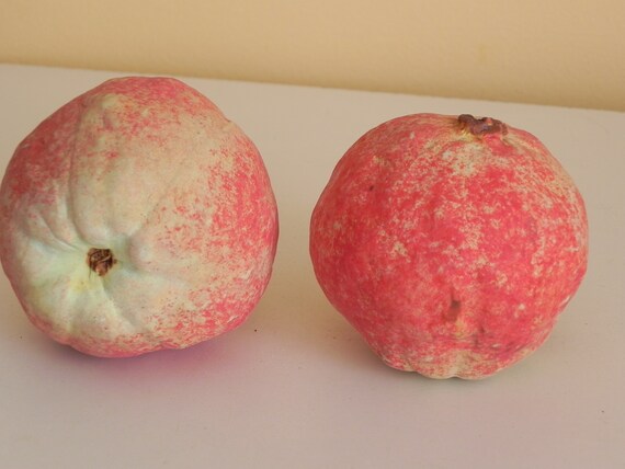 SALE 2 Whole Porcelain Guavas Faux Fruit Fake Food Food | Etsy