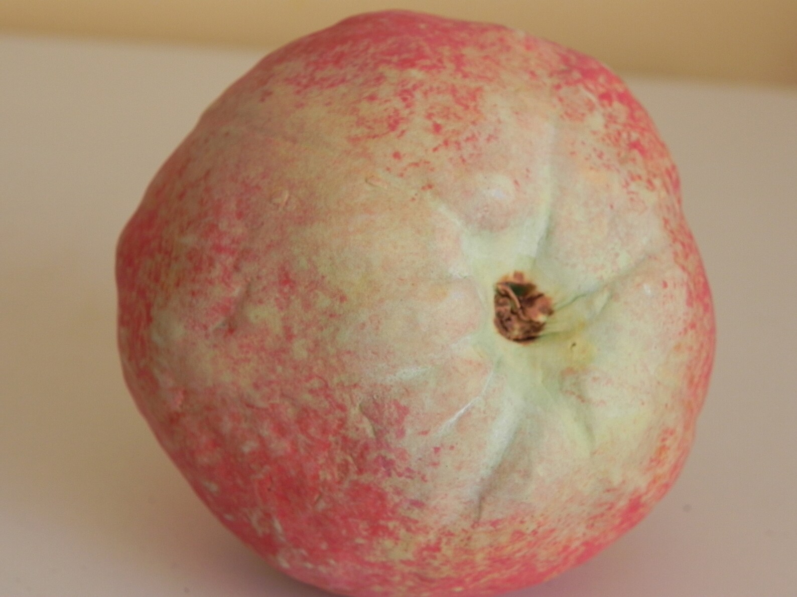 SALE 2 Whole Porcelain Guavas Faux Fruit Fake Food Food - Etsy