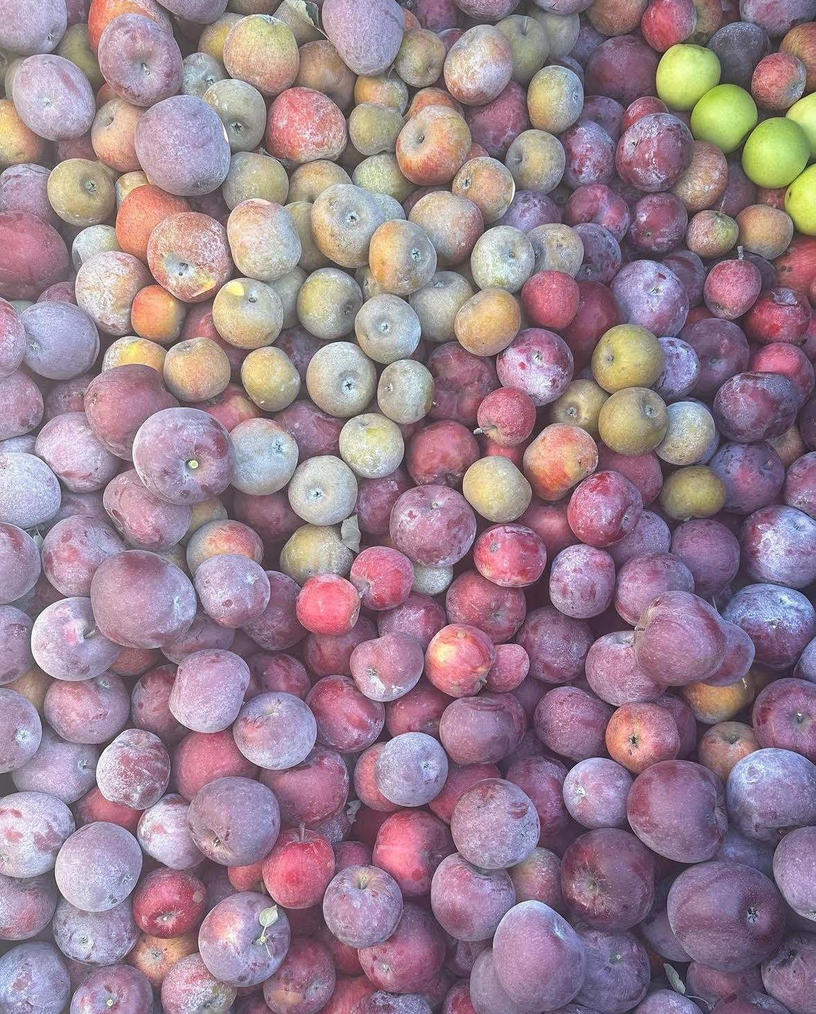 Luxury Apple Cider Vinegar - Etsy