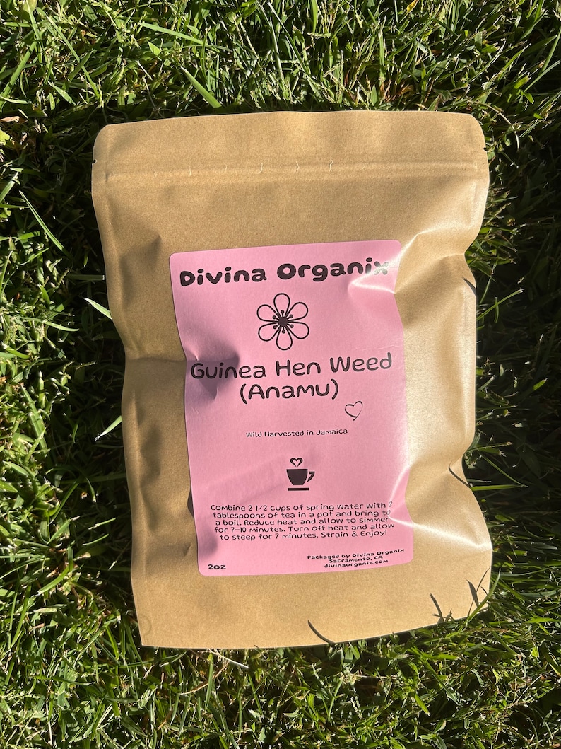 Guinea Hen Weed (anamu) - Petiveria Alliacea - Etsy