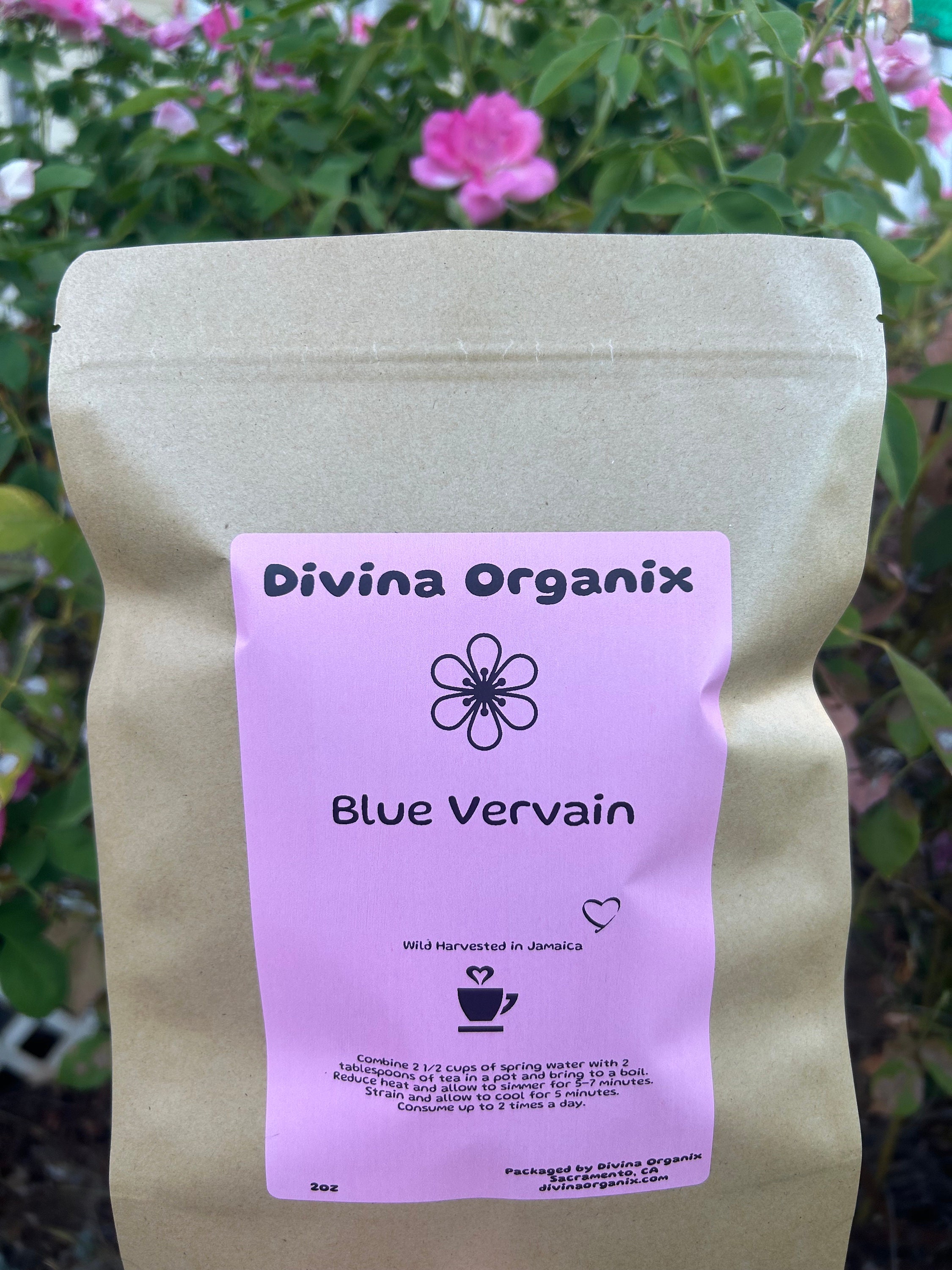 Jamaican Blue Vervain (vervine) - Stachytarpheta Jamaicensis - Etsy