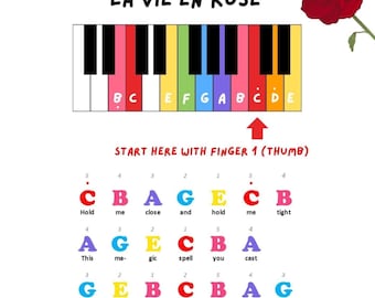 Cant Help Falling in Love - Easy Adult Song | Easy Love Song | Color ...