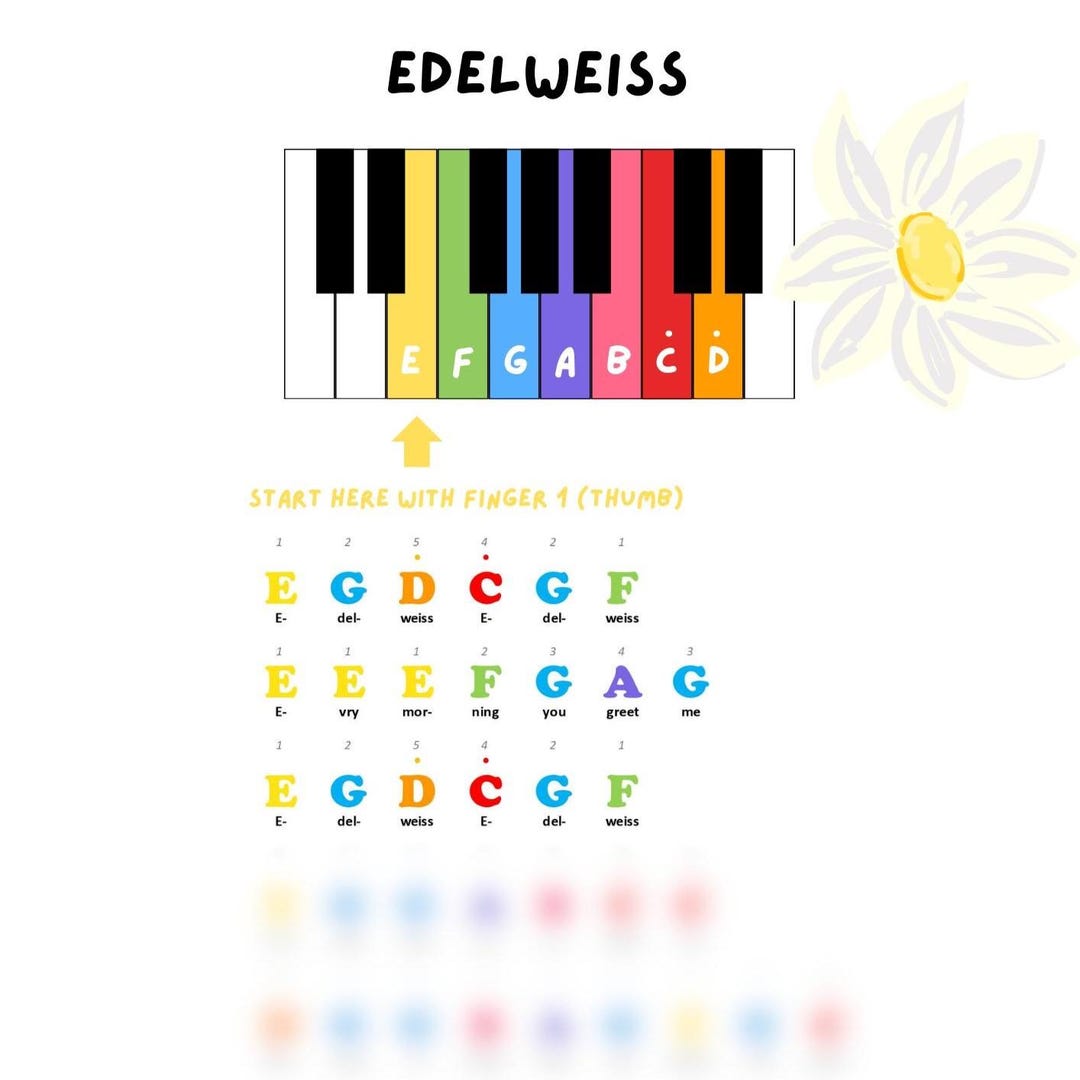 Edelweiss Piano Sheet Music - Easy Color Coded Song (digital PDF) - Etsy