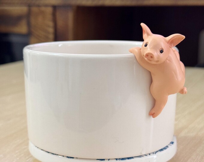 That Cute Pig in a Ceramic Bowl| Limited Edition Pig | Pig Collection ...