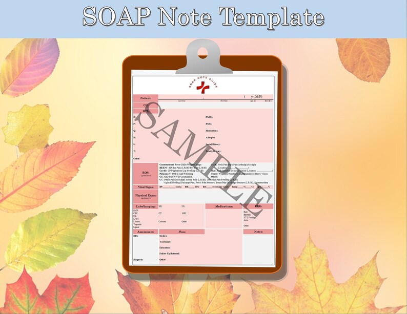 Clinical SOAP Note Template - Etsy