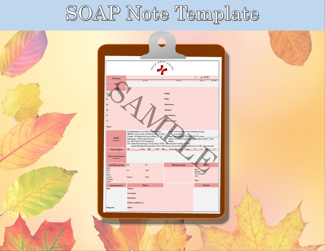 Clinical SOAP Note Template - Etsy