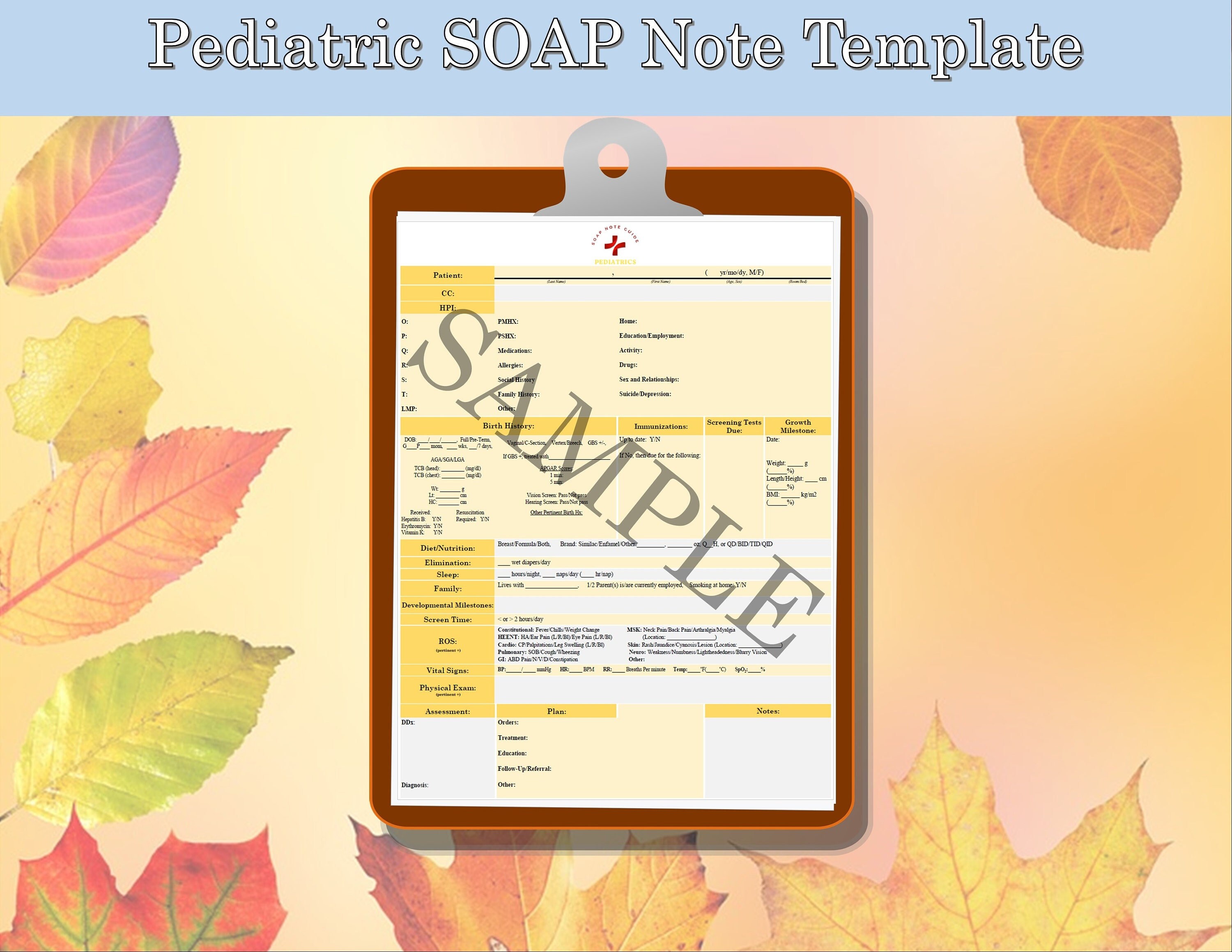 Pediatric SOAP Note Template - Etsy