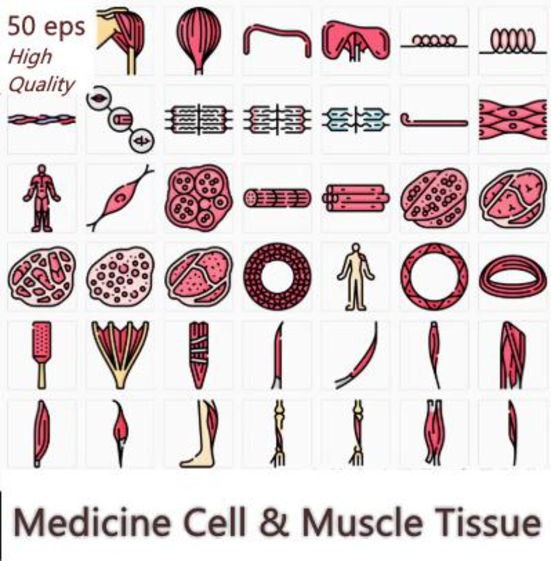 Medical Education Cell Muscle Tissue Symbols Illustrating Human Body ...